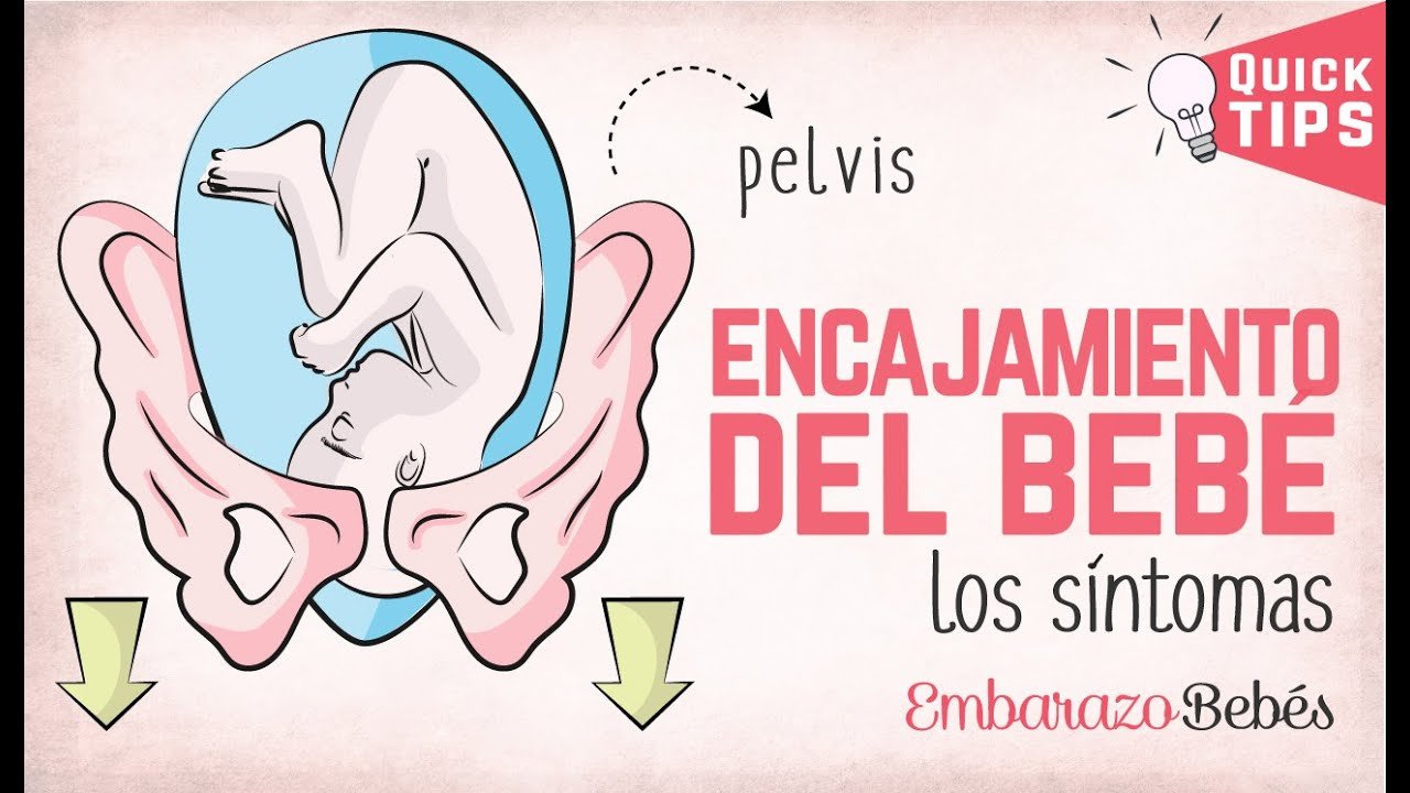 ¿Embarazada y tu pareja eyaculó dentro? Entiende las Consecuencias y ...